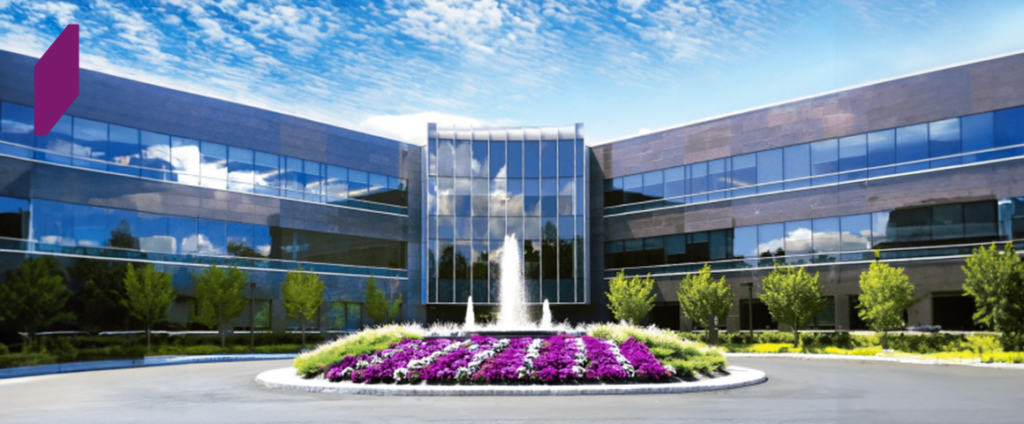 Welcome to the Malbek Office